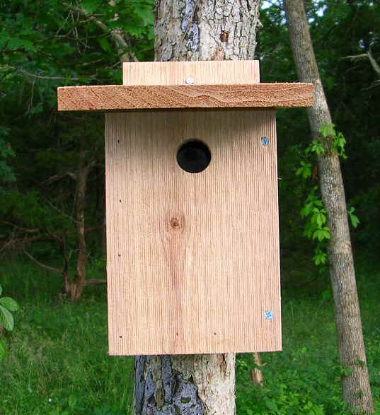 Coleman Creations - Birdhouses