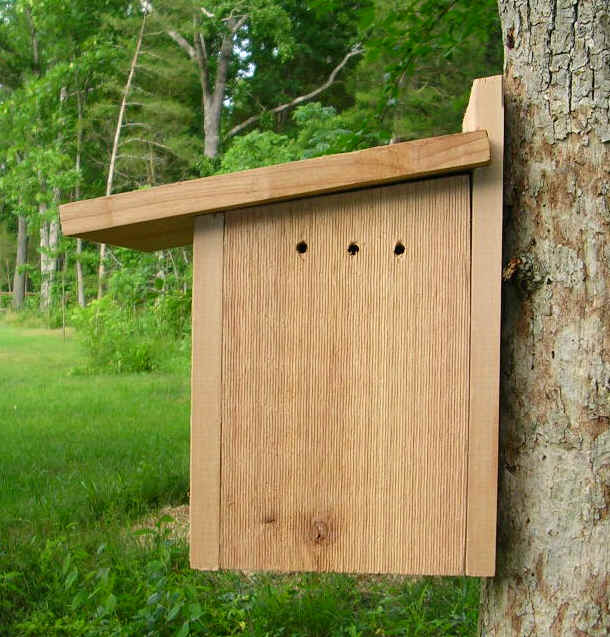 Coleman Creations - Birdhouses